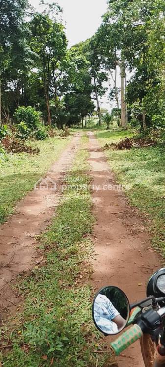 For Sale: 3.7 Acres Of Land Touching The Lake, Bugiri-bukasa Bwerenga ...